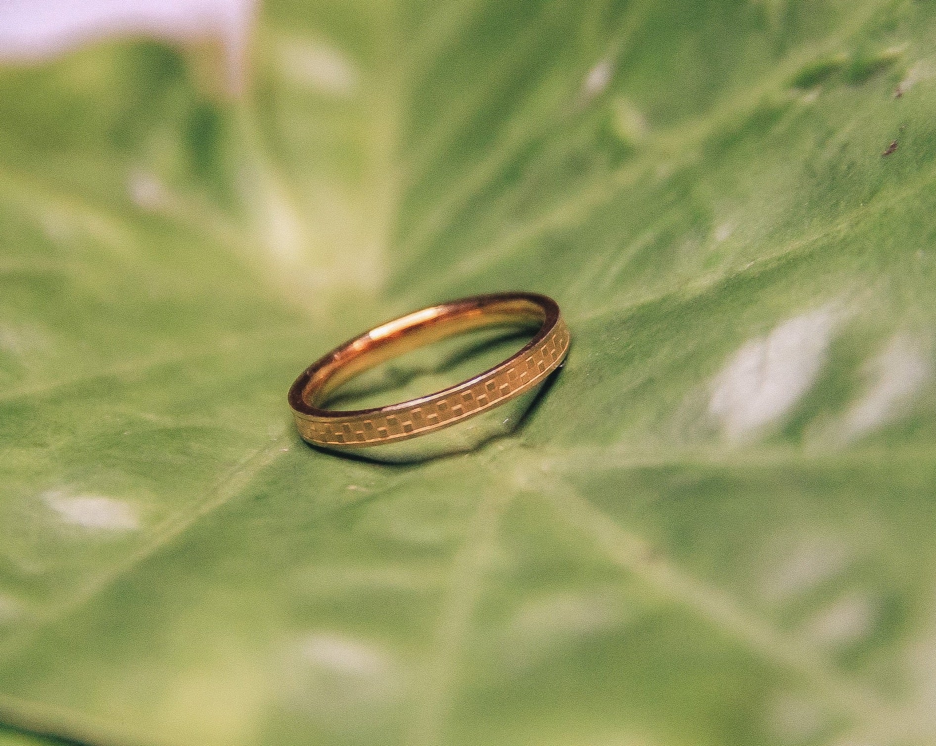 Taki Ring – Kaha Apparel